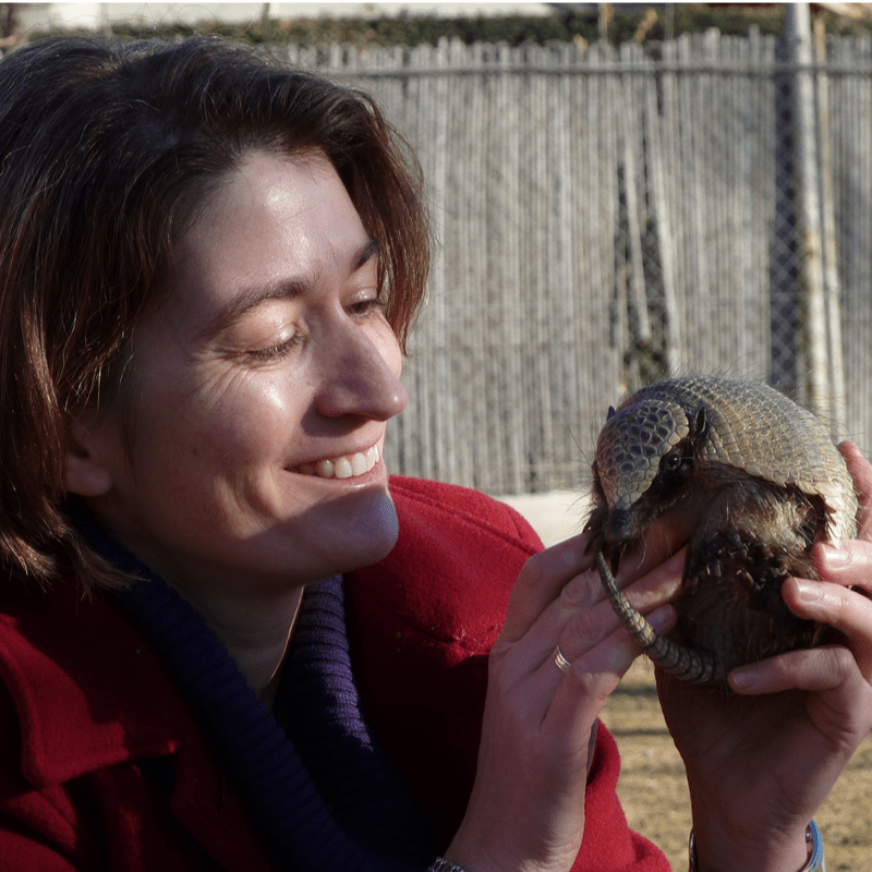 Researchers´ Profiles | IUCN SSC Anteater, Sloth and Armadillo ...