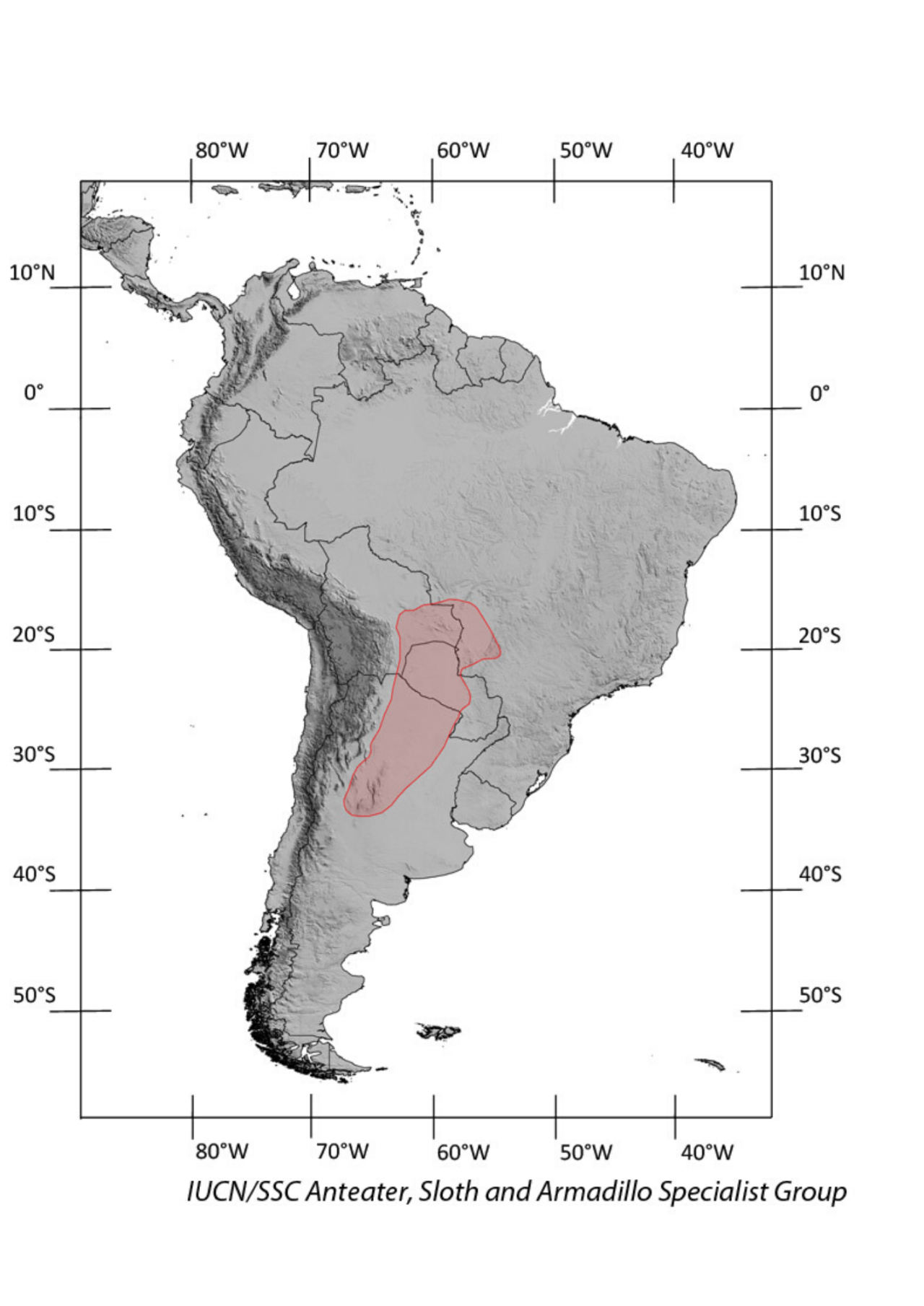 Southern three-banded armadillo | IUCN SSC Anteater, Sloth and ...