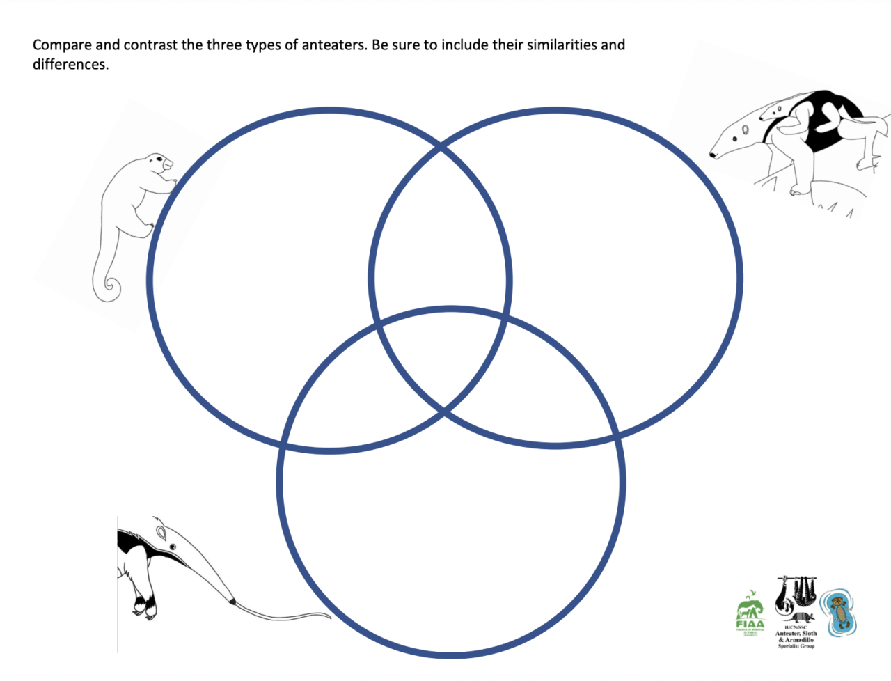 Kids’ Corner | IUCN SSC Anteater, Sloth and Armadillo Specialist Group