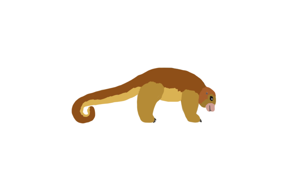 Red pygmy anteater Facts for Kids | IUCN SSC Anteater, Sloth and ...