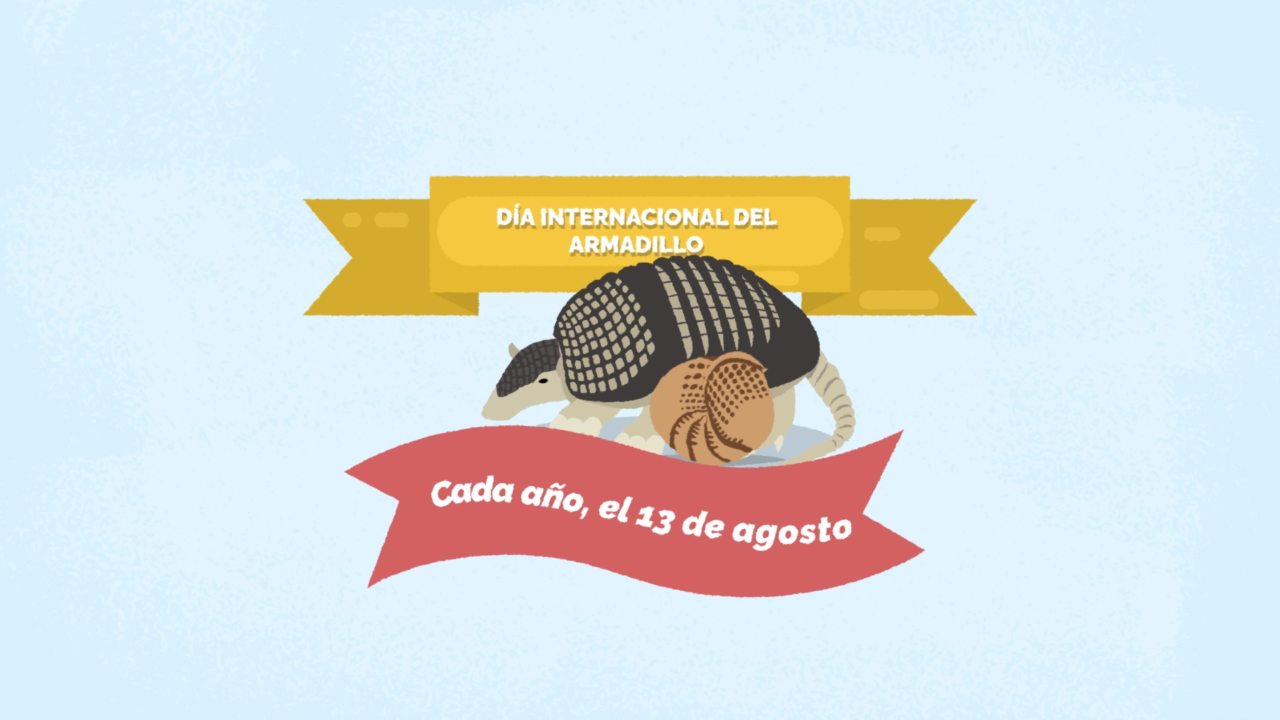 Datos sobre el Cachicamo Sabanero para niños | IUCN SSC Anteater, Sloth ...